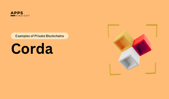 What Is Private Blockchain? Examples, Use Cases & Platforms