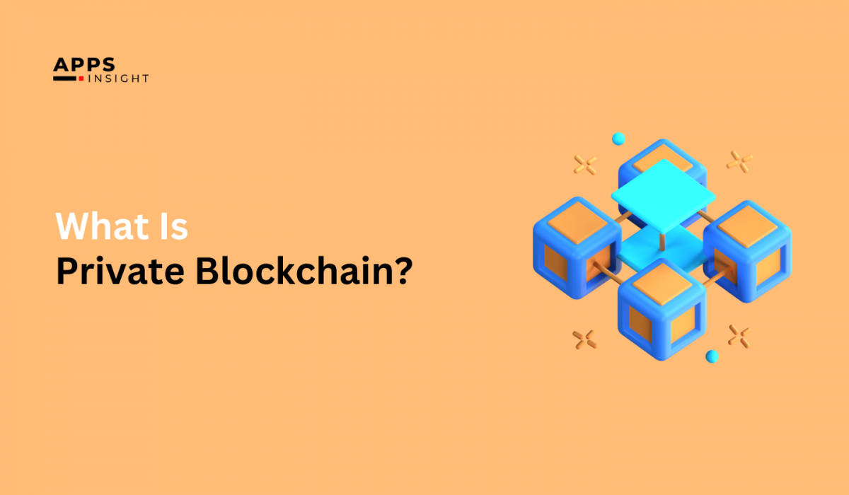 What Is Private Blockchain? Examples, Use Cases & Platforms