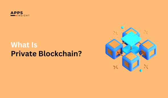 What Is Private Blockchain? Examples, Use Cases & Platforms